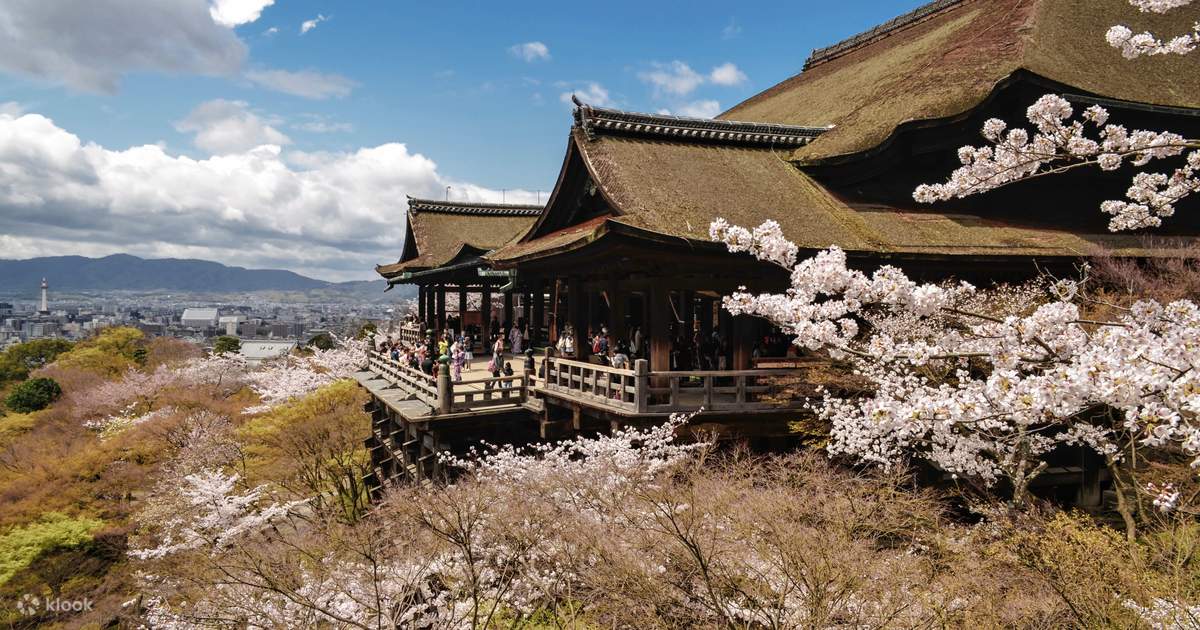 교토 사찰 And 신사 일일 투어 오사카 출발 후시미 이나리 신사 And 아라시야마 And 기요미즈데라 클룩 Klook 한국